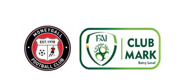 Football Association of Ireland | Moneygall bag FAI Club Mark