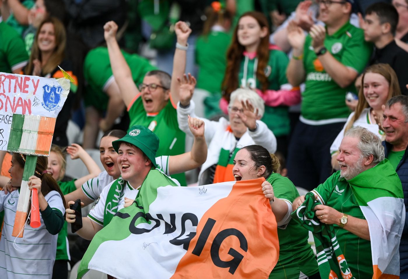 Football Association of Ireland | New Football Management System FAI ...