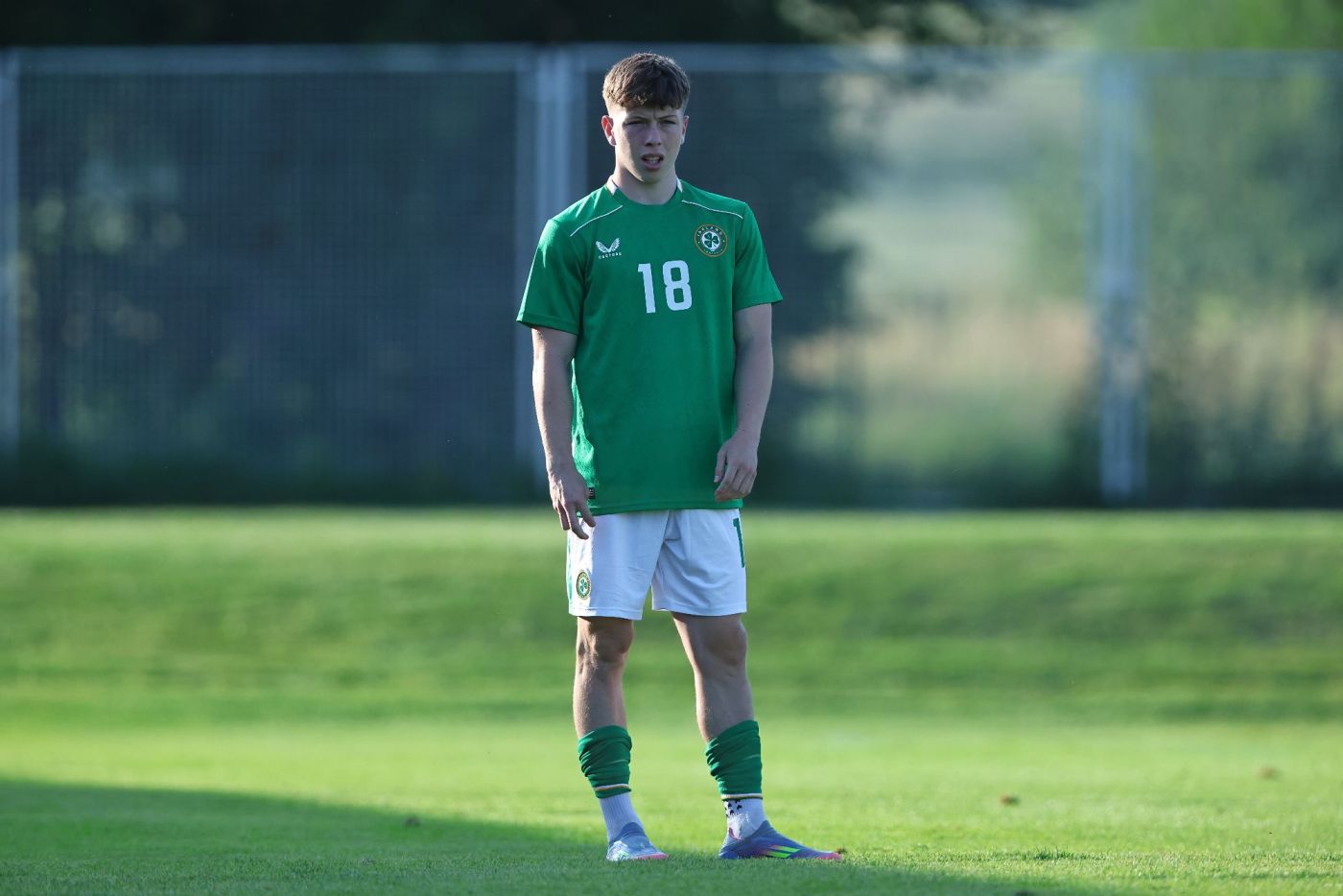 Football Association of Ireland | New Football Management System FAI ...