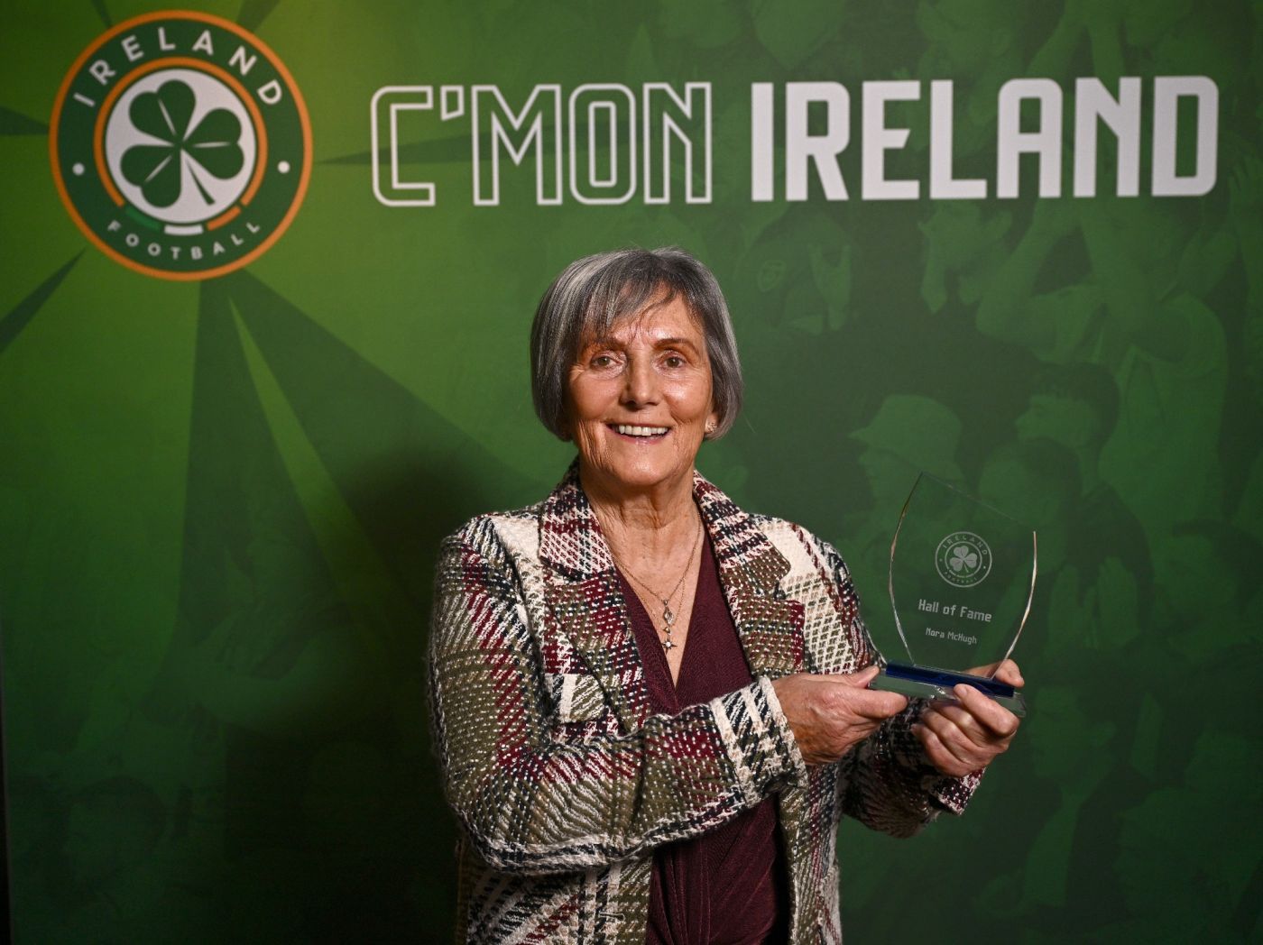 Football Association of Ireland | Winners confirmed at the 34th FAI ...