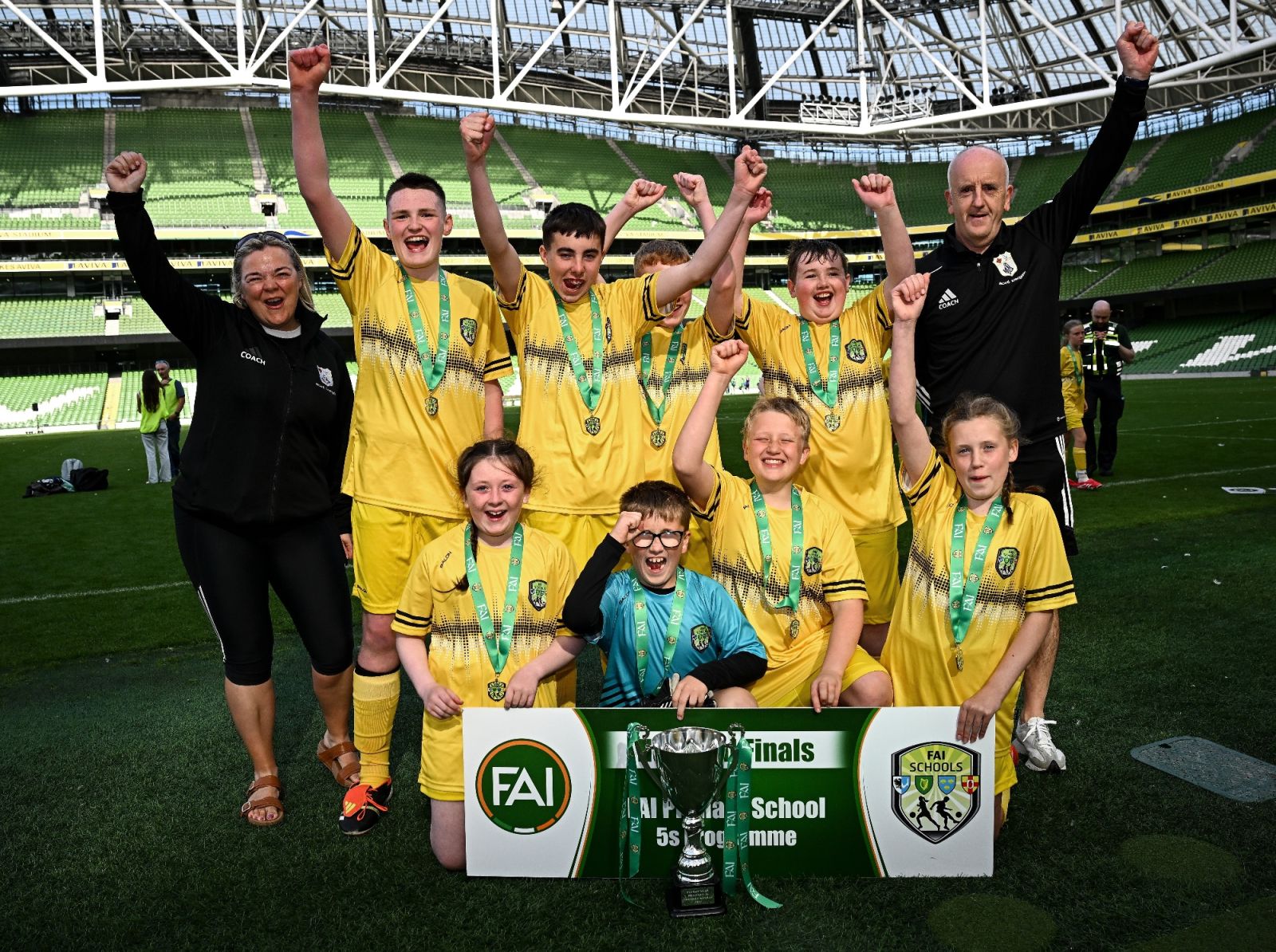Football Association of Ireland | Record year for FAI Schools Primary ...